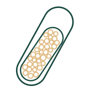 Essentials Pack supplementen | Insentials